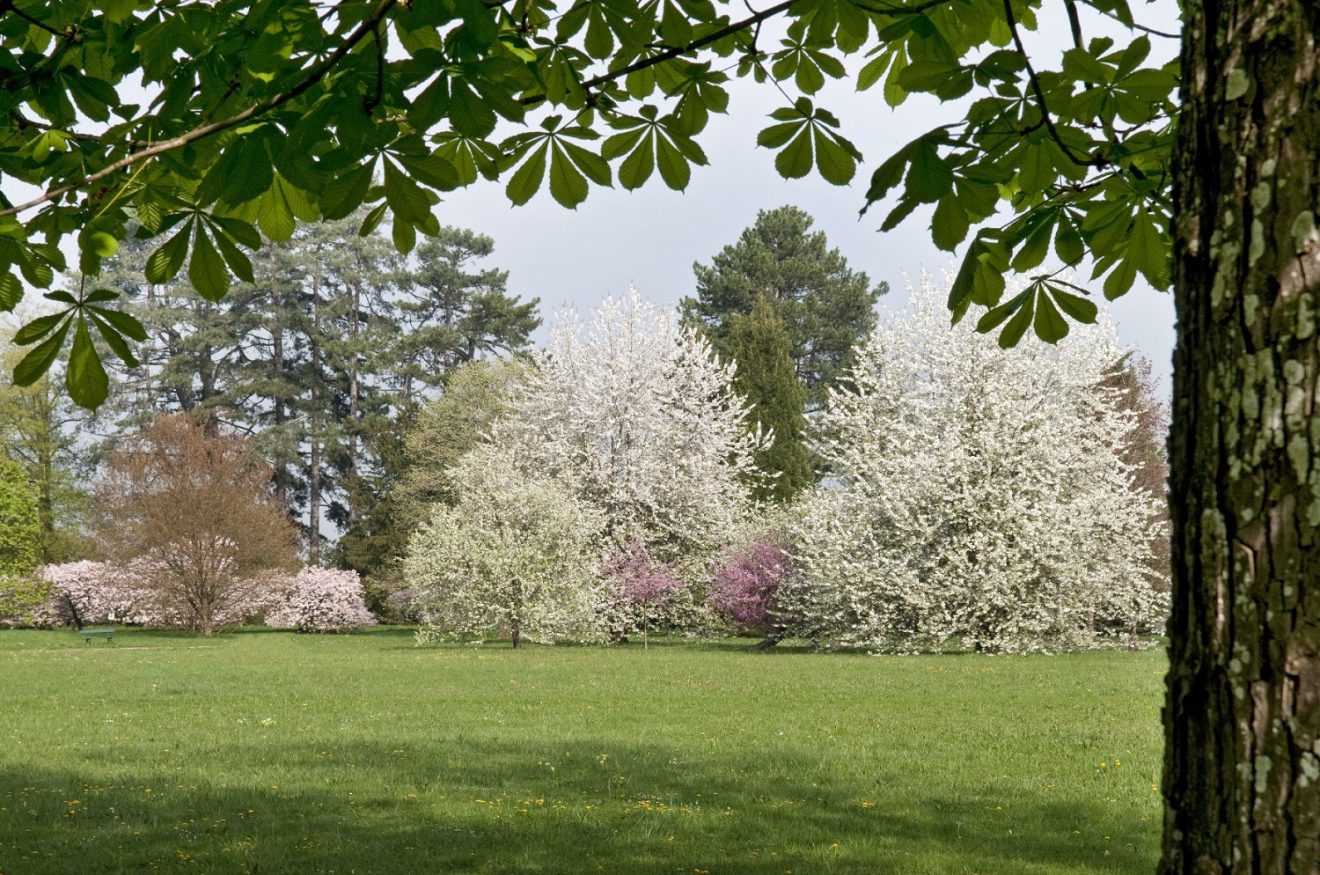 Domaine de Courson - Le parc