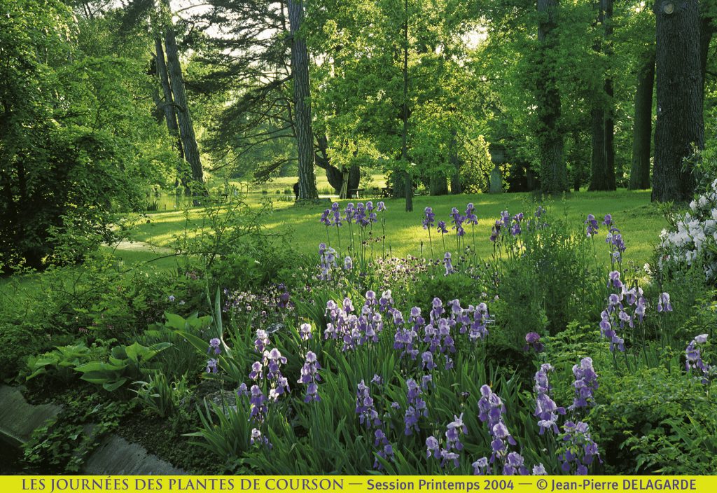 Photos - Domaine de Courson