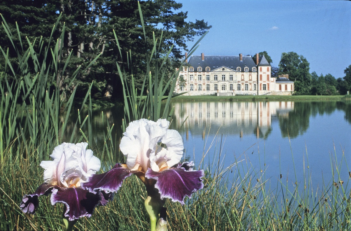 Visites individuelles - Domaine de Courson